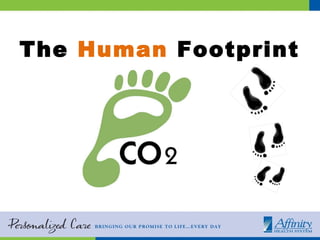 The Human Footprint | PPT | Business | Business and Finance