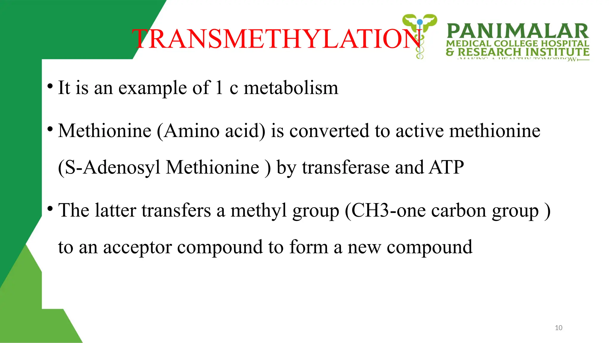 Essential amino acids 2.pptxEssential amino acids 2.pptx