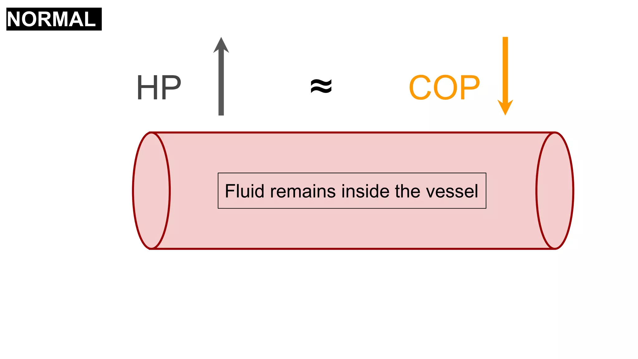 Edema, Transudate vs Exudate - Pathology - Allied courses | PPTX