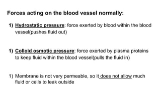 Edema, Transudate vs Exudate - Pathology - Allied courses | PPTX