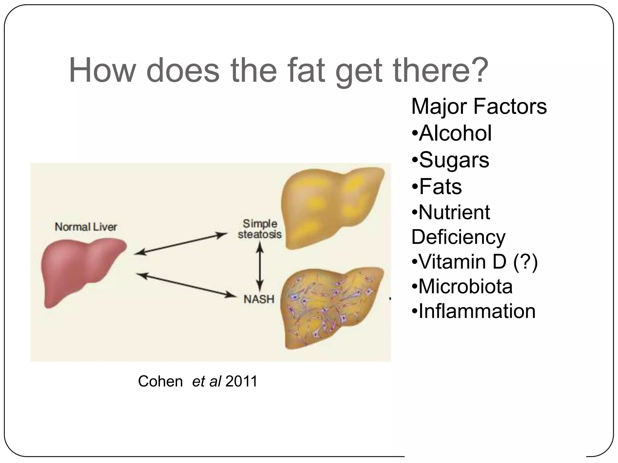 AHS13 Victoria Prince Fatty Liver -- Is It the Fat's Fault? | PPTX