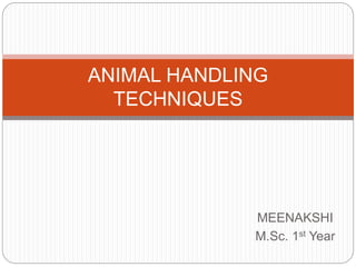 Animal Handling Techniques | PPTX