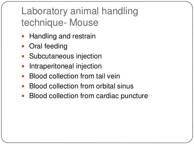 Animal Handling Techniques Animal Handling Techniques