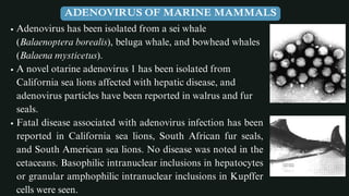 MARINE_MICROBIAL_DISEASES_VIRAL_DISEASES.pdf