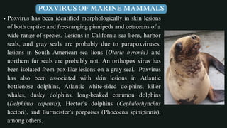 MARINE_MICROBIAL_DISEASES_VIRAL_DISEASES.pdf