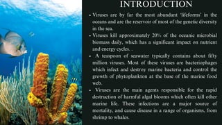 MARINE_MICROBIAL_DISEASES_VIRAL_DISEASES.pdf