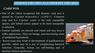 MARINE_MICROBIAL_DISEASES_VIRAL_DISEASES.pdf
