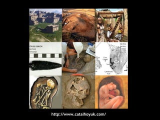 Ahtr preshistory | PPT