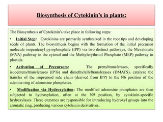 Ahtsham Khan Plant Physiology Presentation.pptx