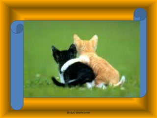 A hug certificate for you! | PPTX