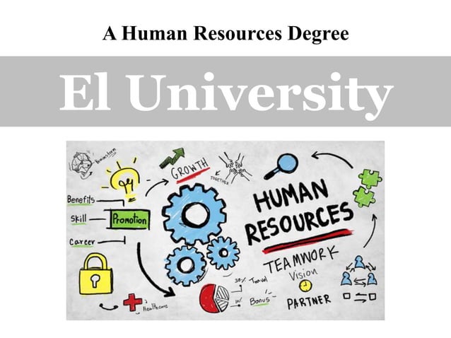 A Human Resources Degree A Human Resources Degree | PPT