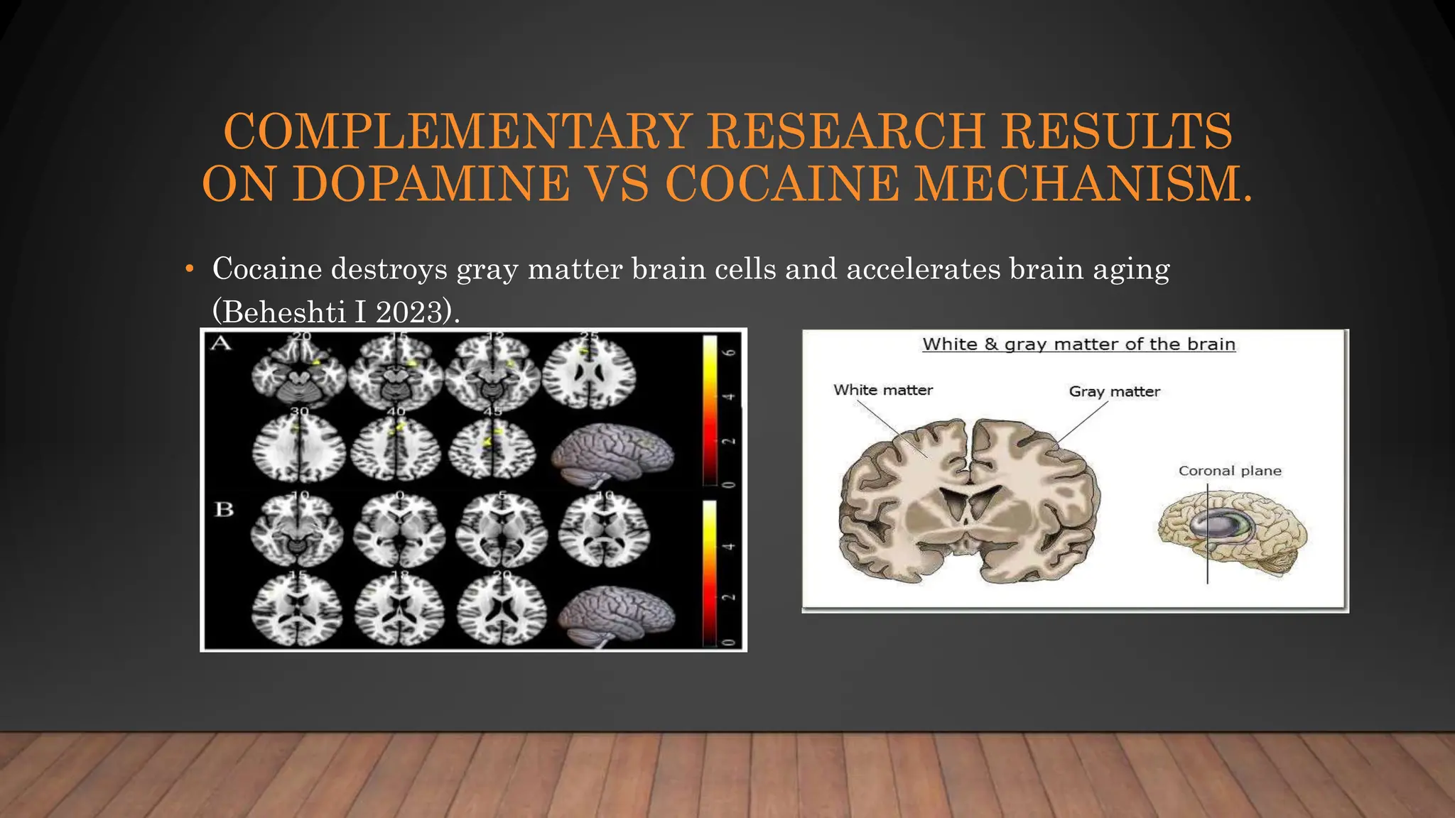 Cocaine mechanism in human brain & hazard. | PPT