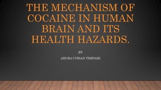 Cocaine mechanism in human brain & hazard. | PPT