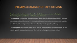 Cocaine mechanism in human brain & hazard. | PPTX