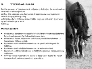 About the Australian Horse Welfare Protocol | PPTX