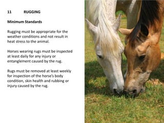 About the Australian Horse Welfare Protocol | PPTX