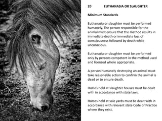 About the Australian Horse Welfare Protocol | PPTX