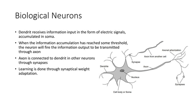 Neural Networks And Deep Learning An Intro Pptx Computer