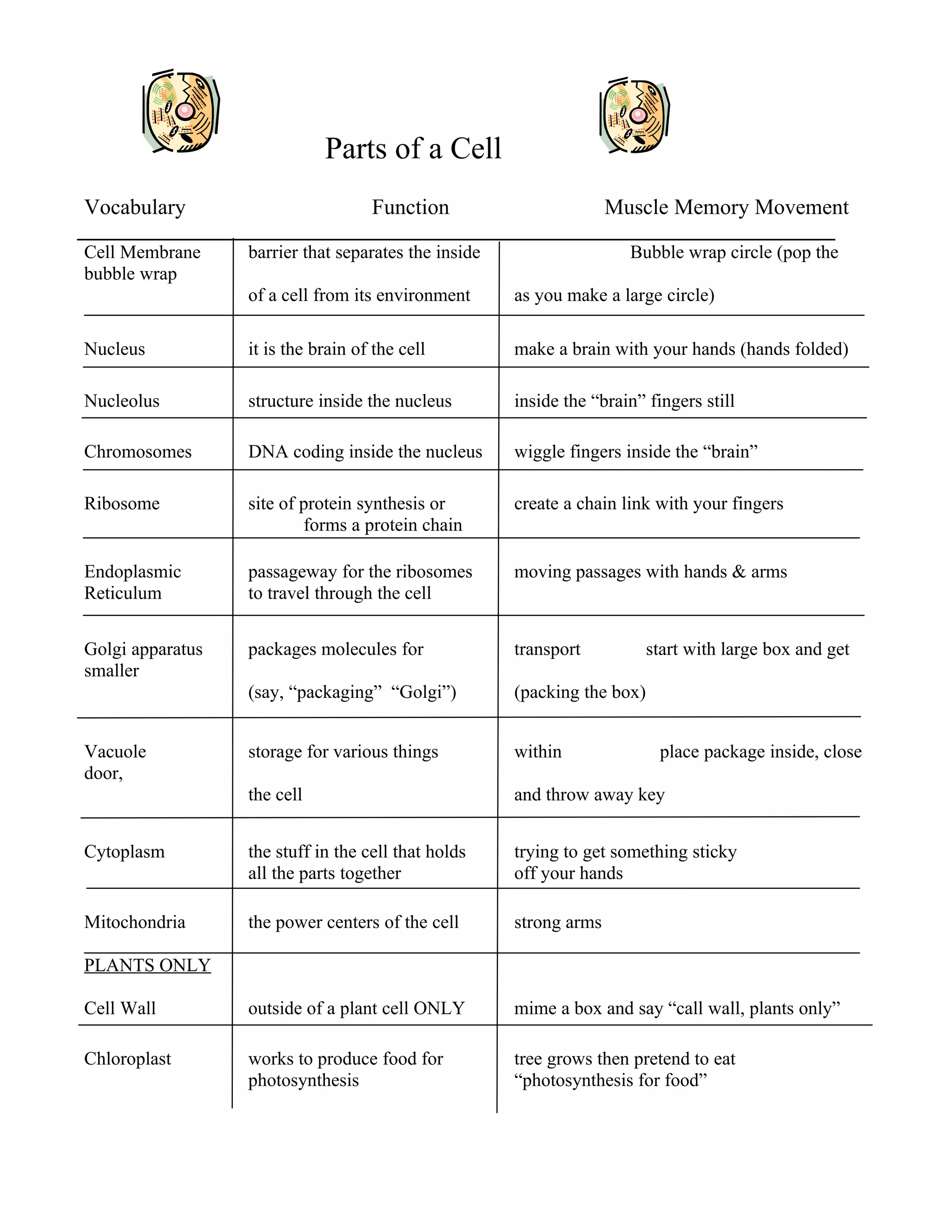 Parts of a Cell | DOC