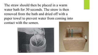 Artificial insemination | PPTX