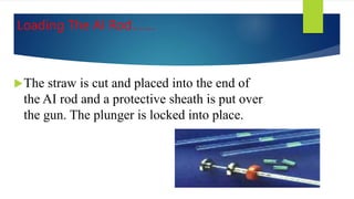 Artificial insemination | PPTX