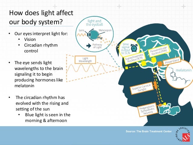 AIA Light & Health Presentation