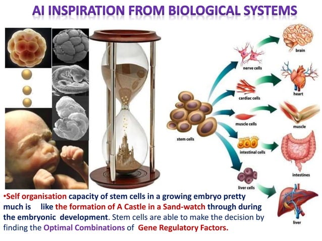Ai and biology | PPTX