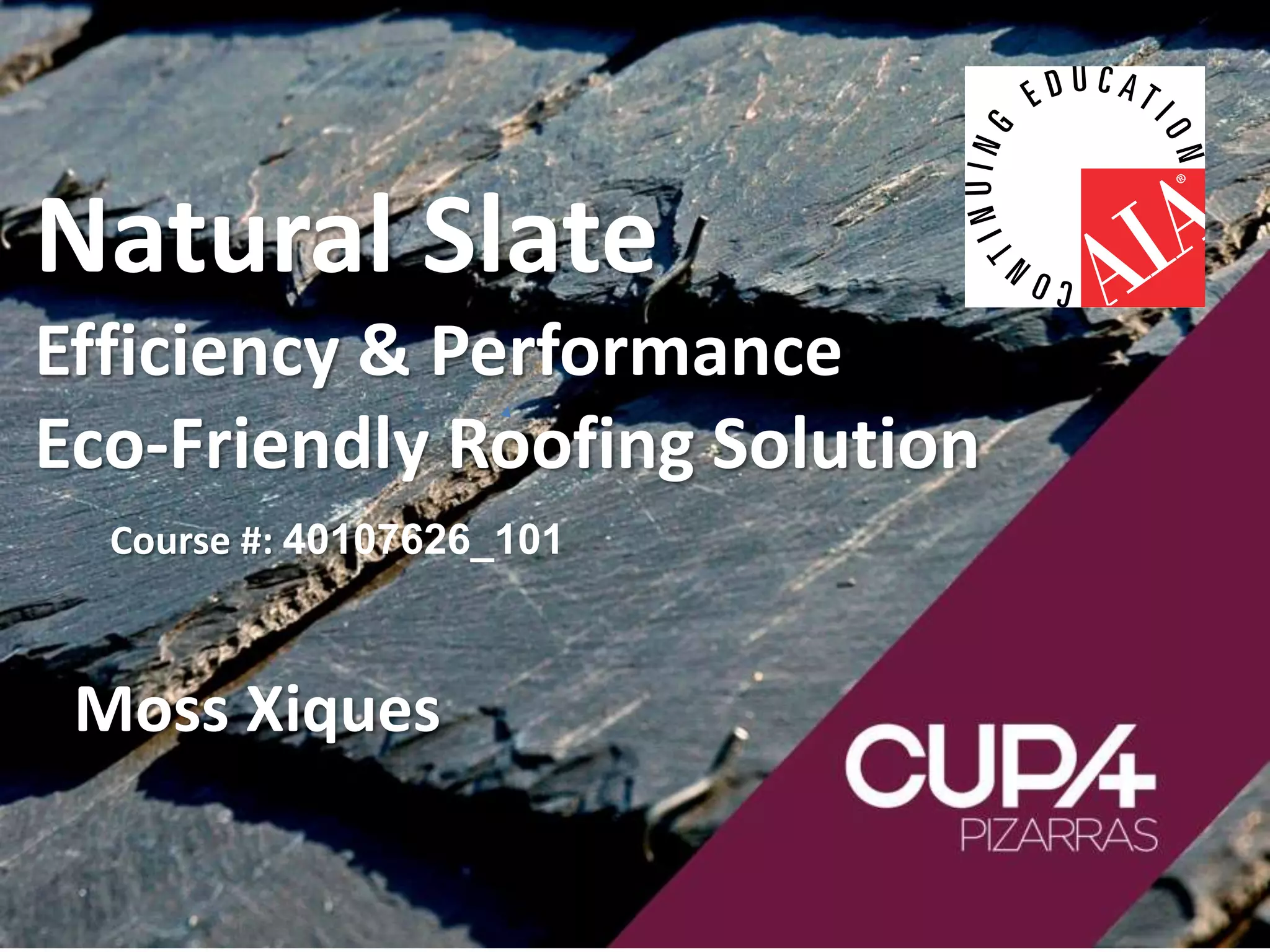 AIA Presentation | PPTX