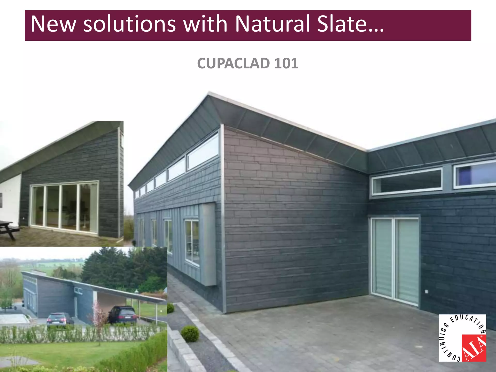 AIA Presentation | PPTX