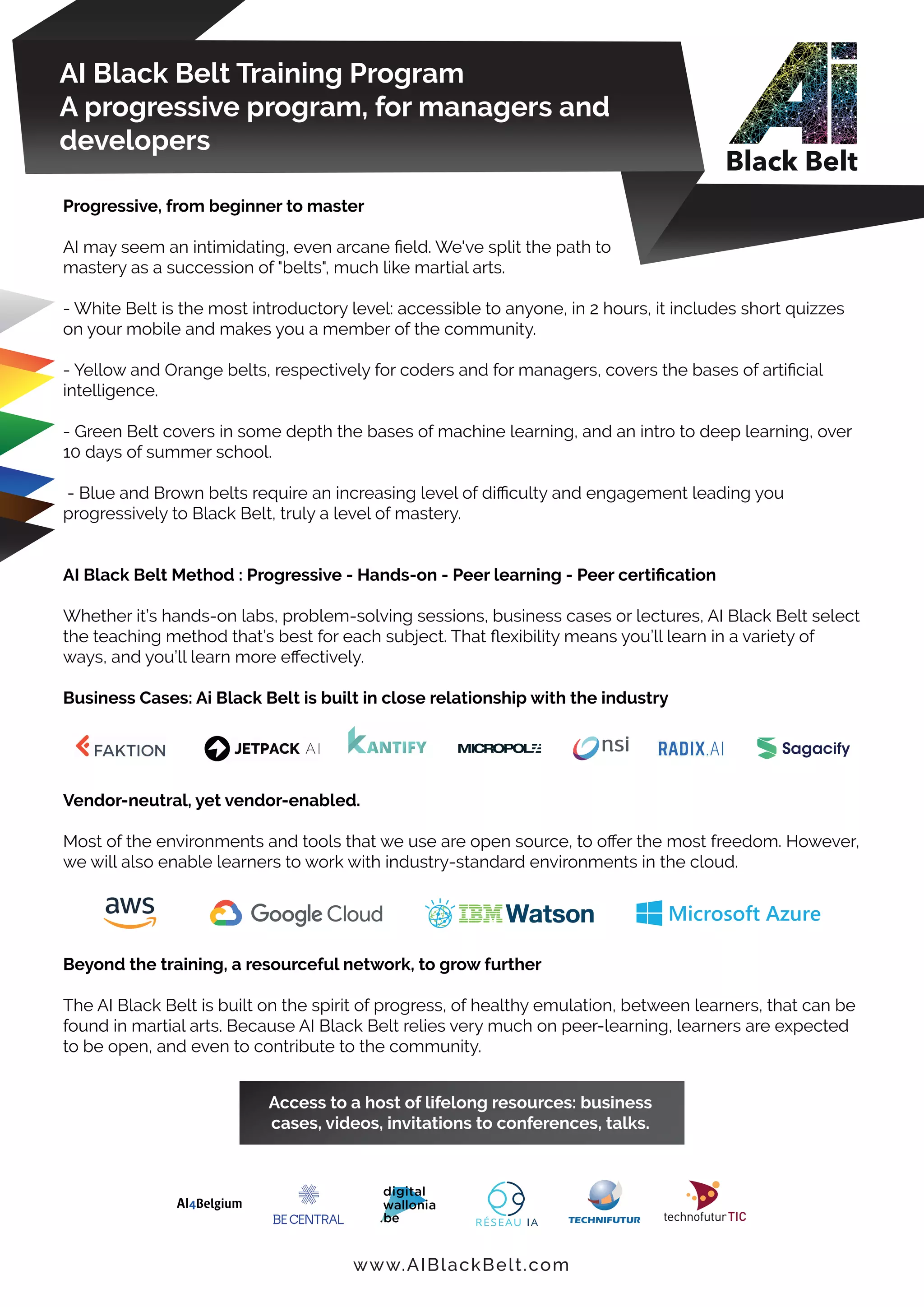 AI Black Belt - brochure Spring 2019 | PDF