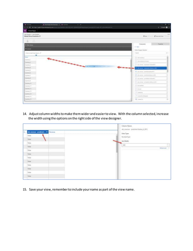 AI Builder - Binary Classification | PDF