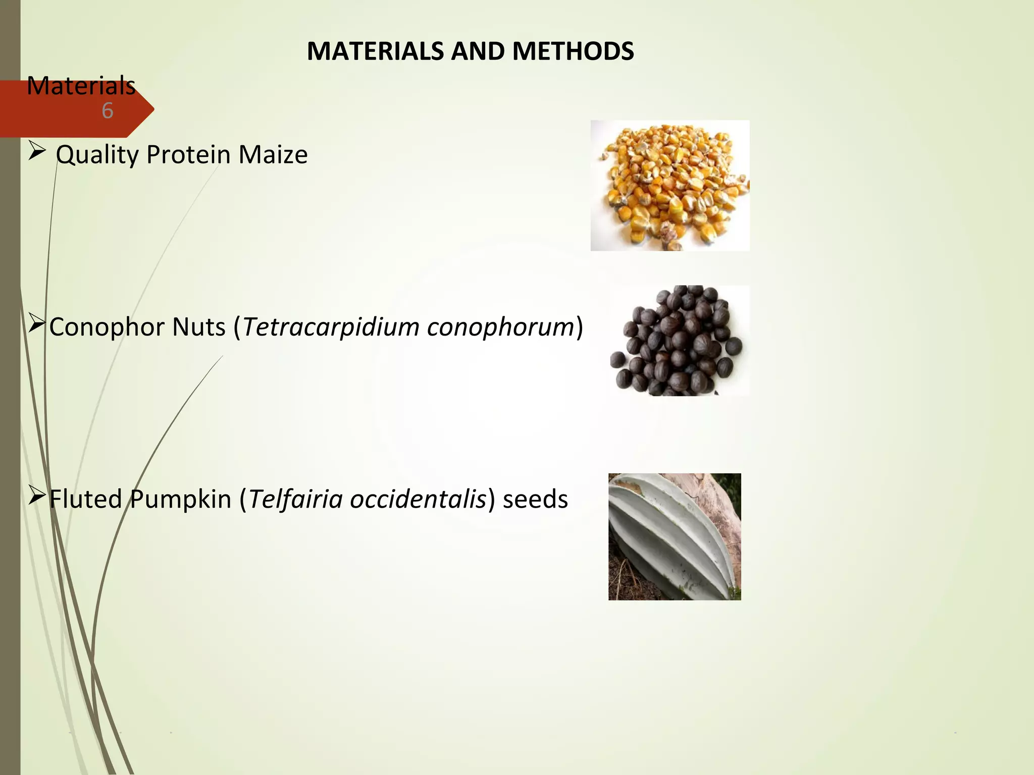 Chemical and Sensory Quality of Quality Protein maize (Zea mays ...