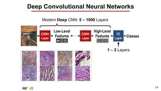 An Overview on the role of Artificial Intelligence (AI) and Deep Neural ...