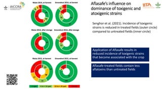 Aflasafe Products and Success Stories | PDF