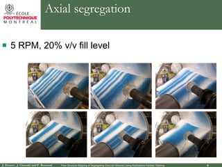 Flow Structure Mapping of Segregating Granular Mixtures using ...