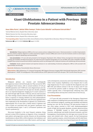Giant Glioblastoma in a Patient with Previous Prostate Adenocarcinoma ...