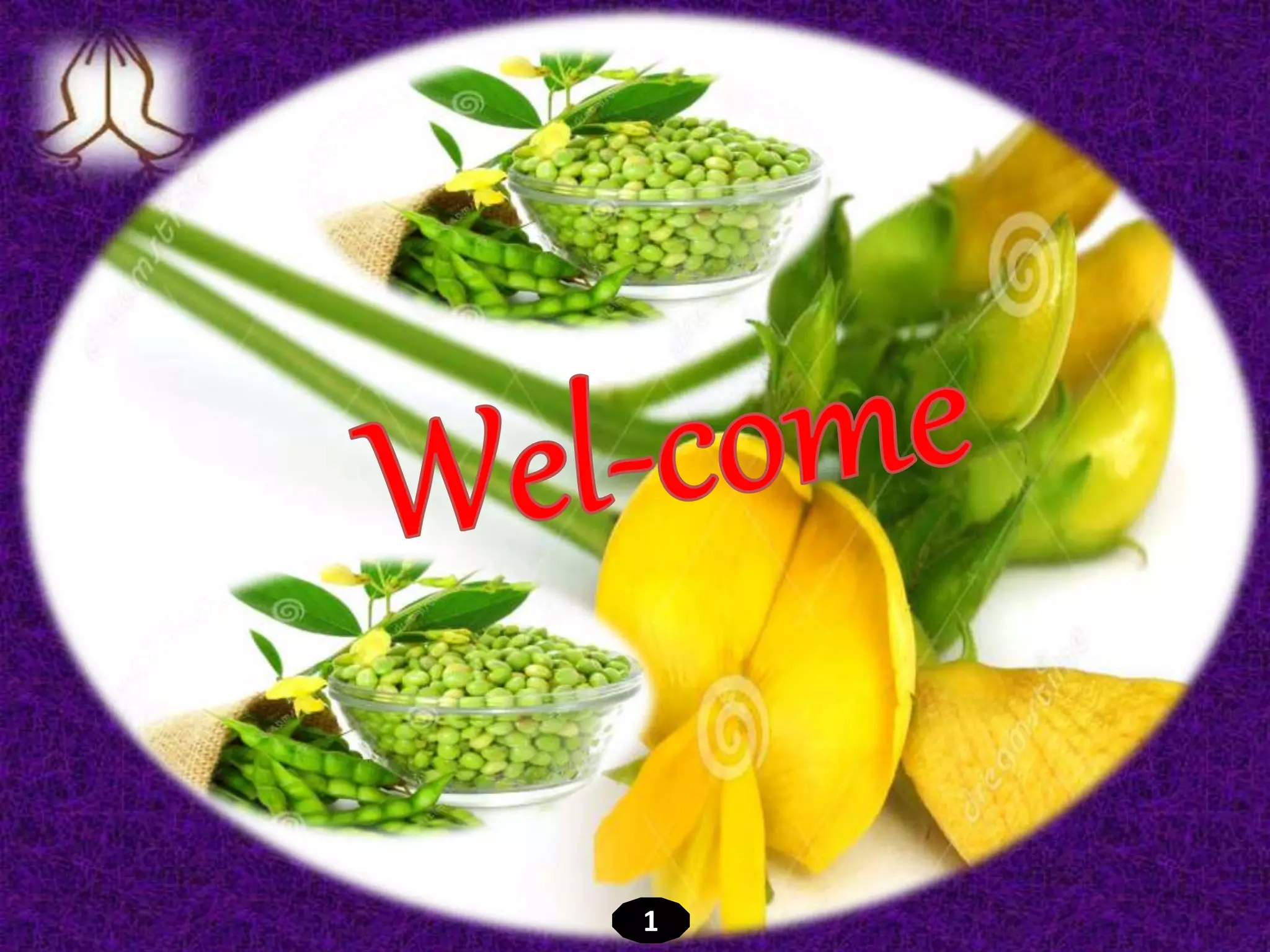 Hybrid seed production of pigeonpea | PPTX