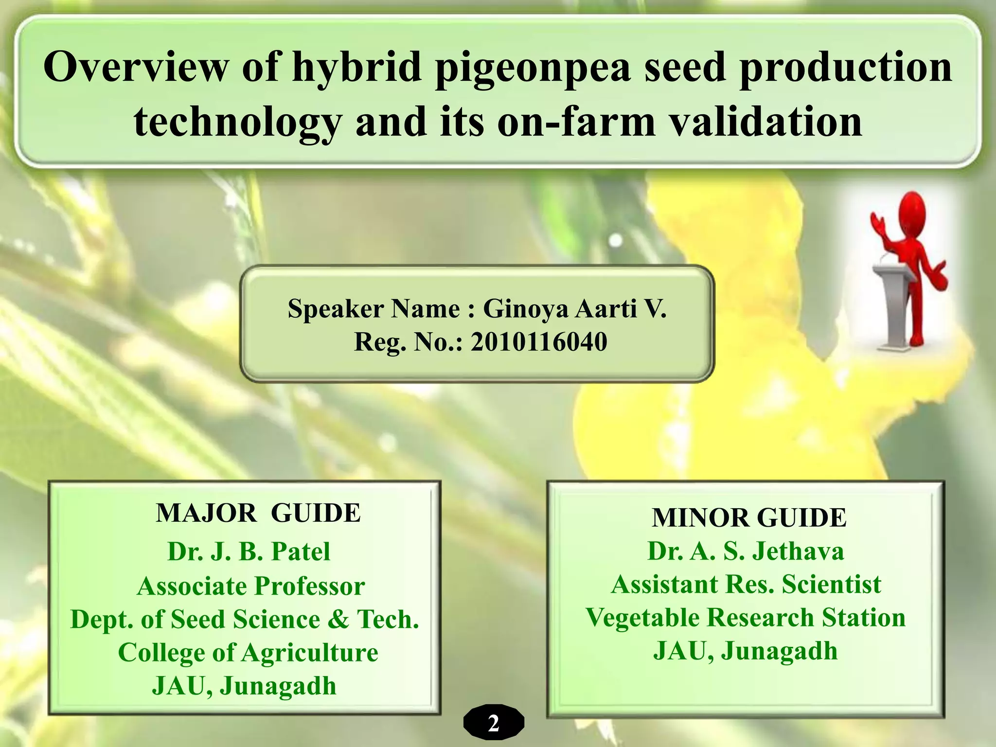 Hybrid seed production of pigeonpea | PPTX