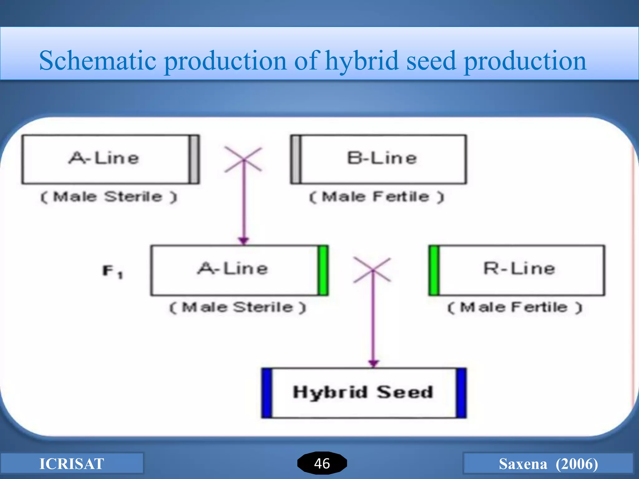 Hybrid seed production of pigeonpea | PPTX