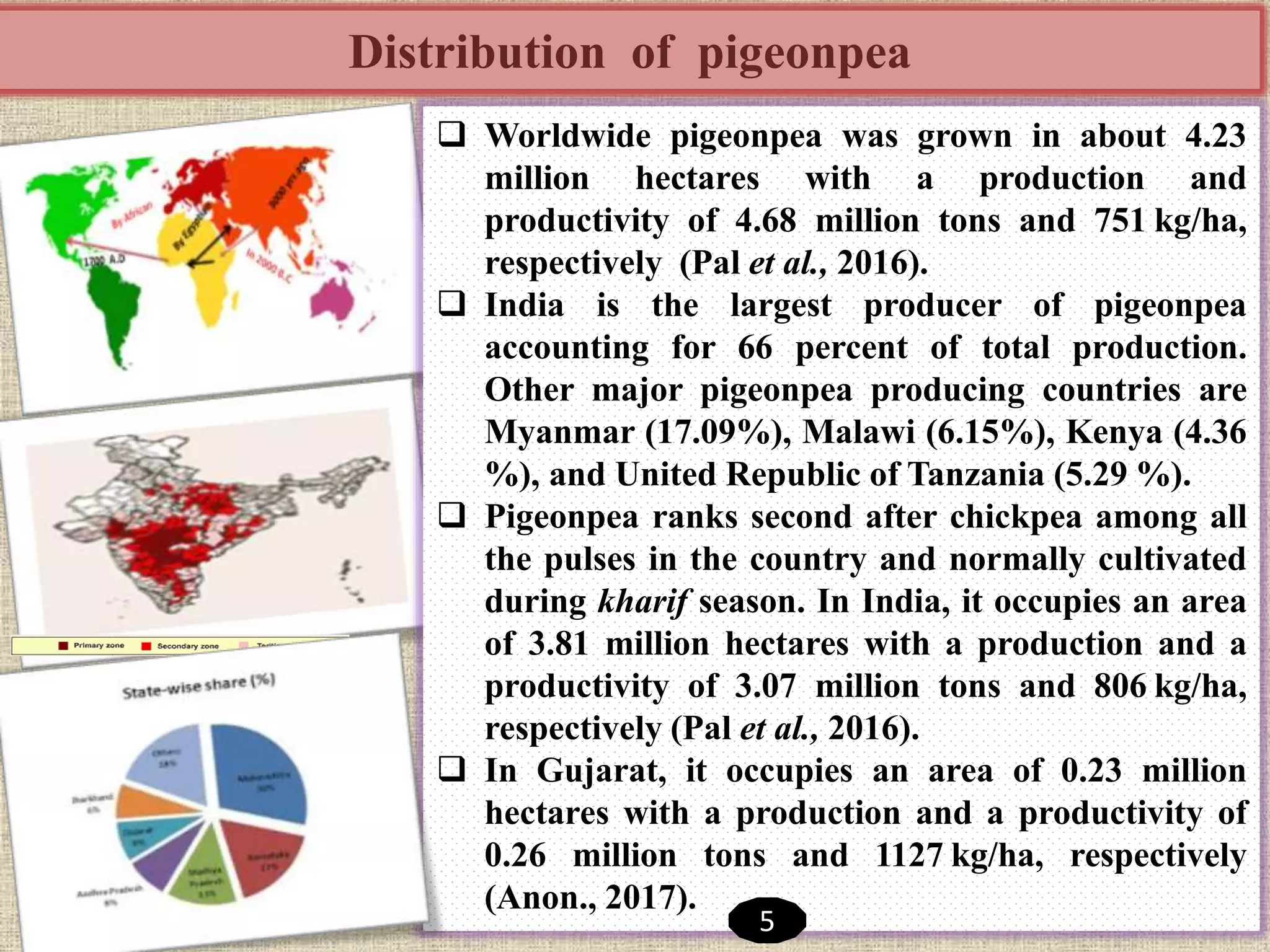 Hybrid seed production of pigeonpea | PPTX