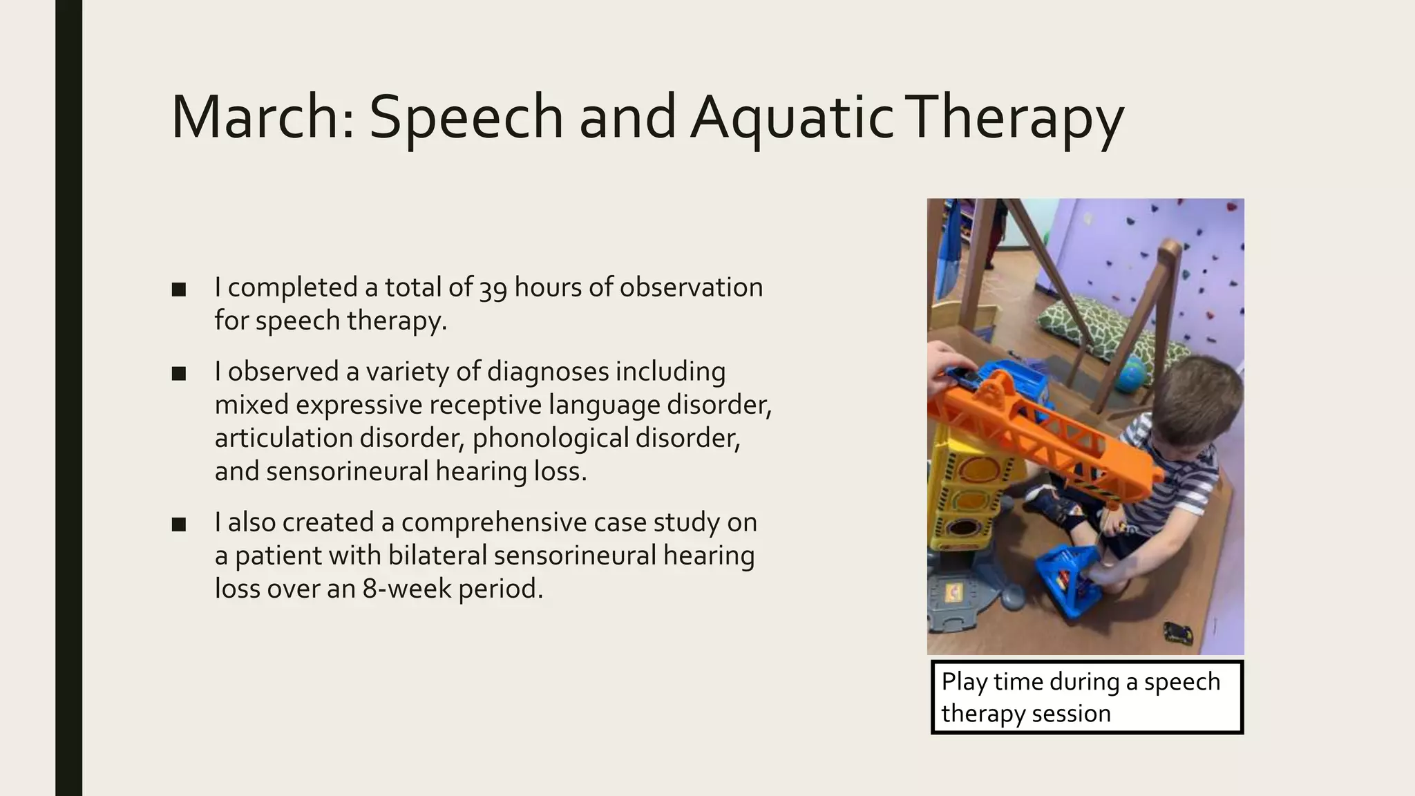 AID-L Internship Powerpoint ppt | PPT