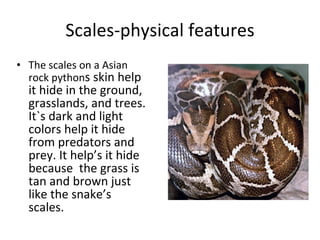 Aidan animal research | PPT