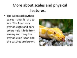 Aidan animal research | PPT