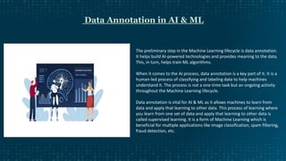 AI Data Annotation: Understanding Significance and Ethical ...