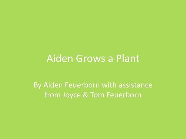 Aiden grows a plant | PPT