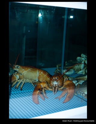 Aiden Rust_Holding god Accountable Exhibition PDF - Copy.pdf