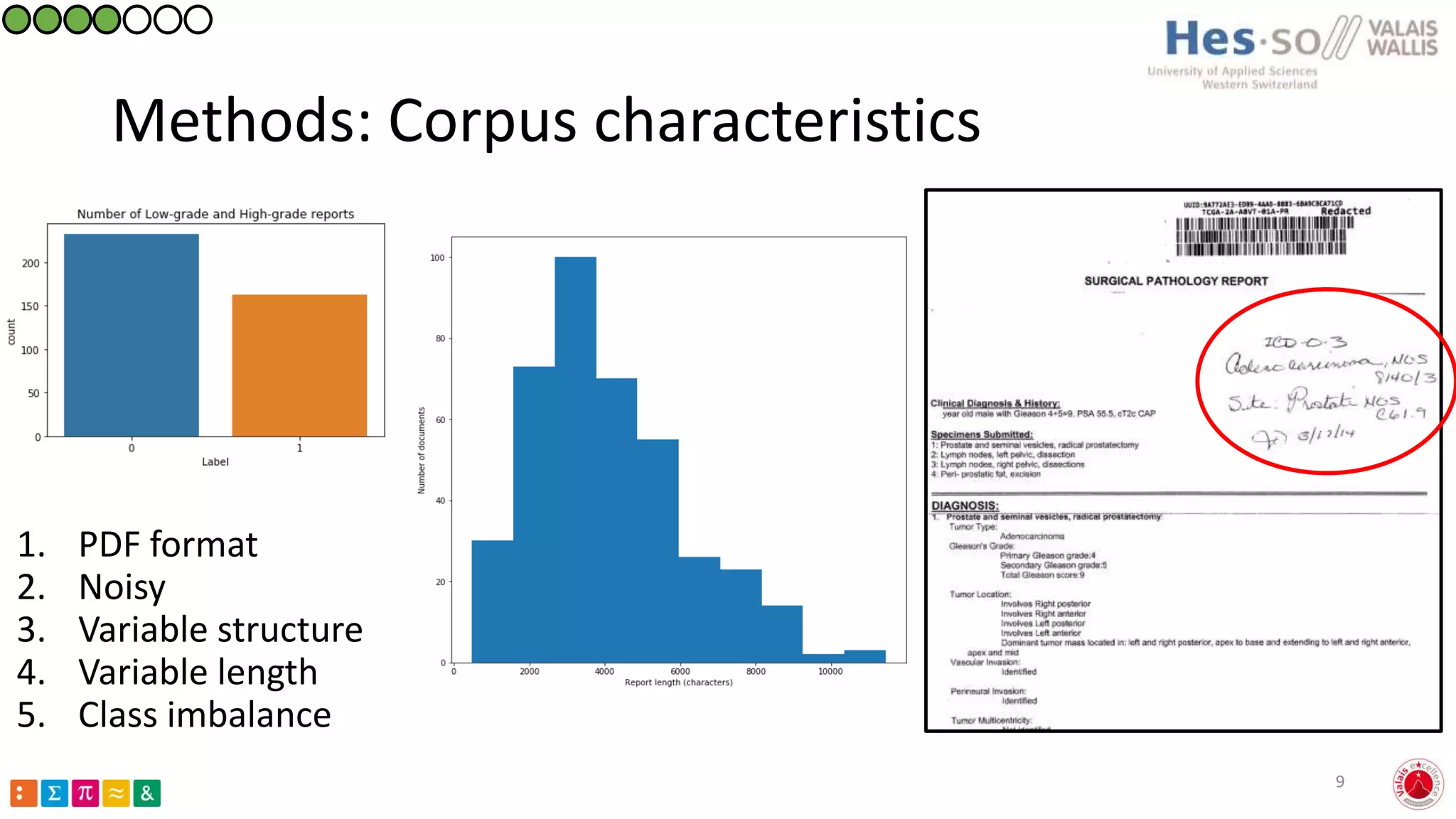Classification of prostate cancer pathology reports using natural ...