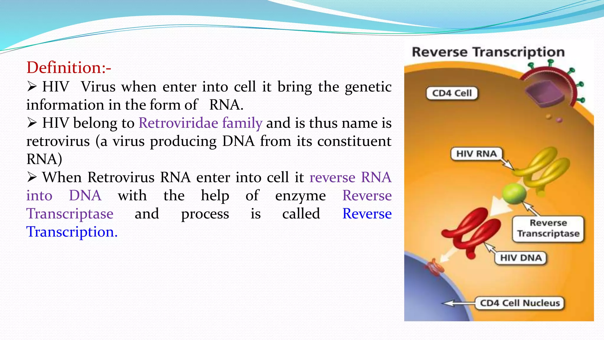 AIDS/HIV | PPTX | Infectious Diseases | Diseases and Conditions