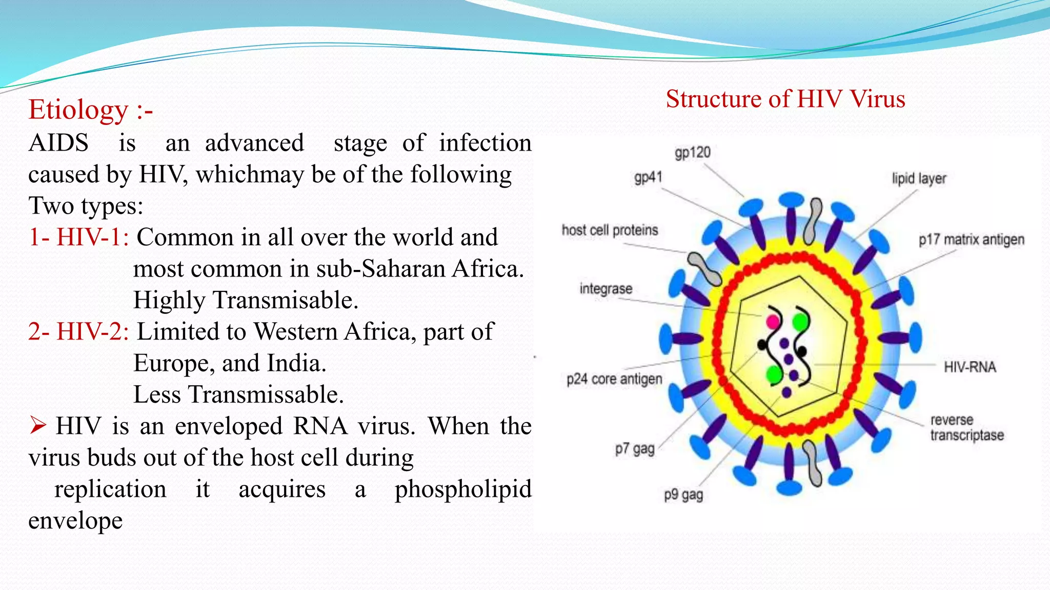 AIDS/HIV | PPTX