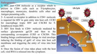 AIDS/HIV | PPTX